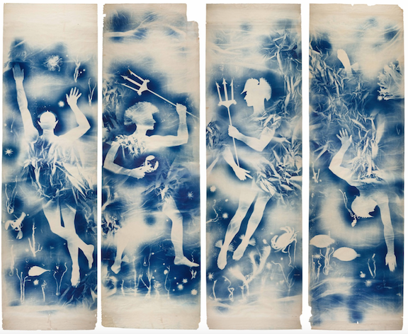cyanotype | Art History Glossary